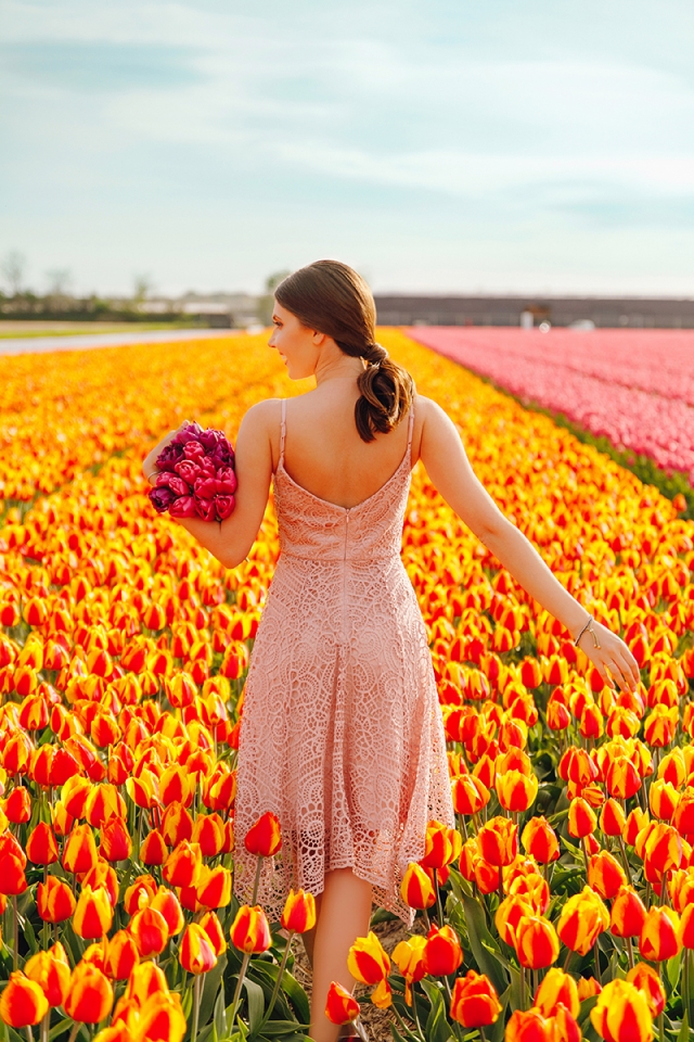 Tulip fields – Larisa Costea