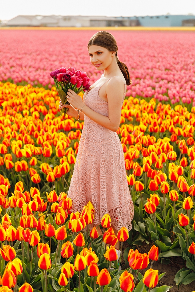 Tulip fields – Larisa Costea