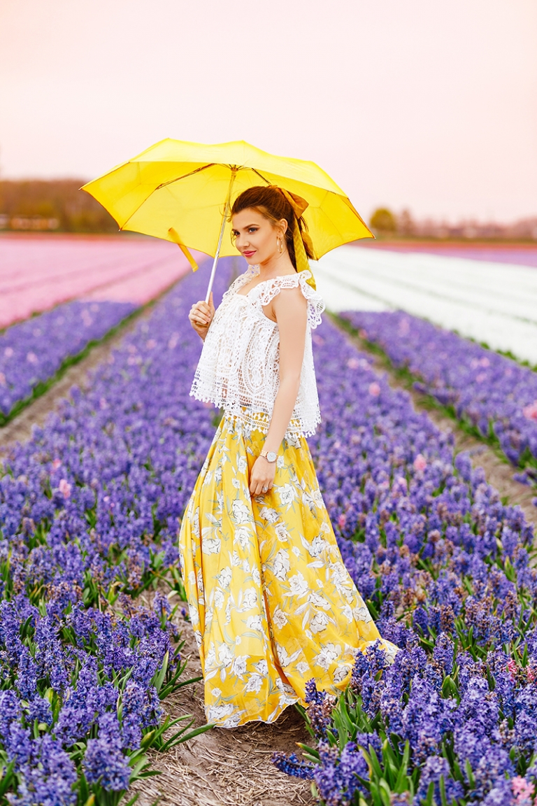 Fields of hyacinths – Larisa Costea