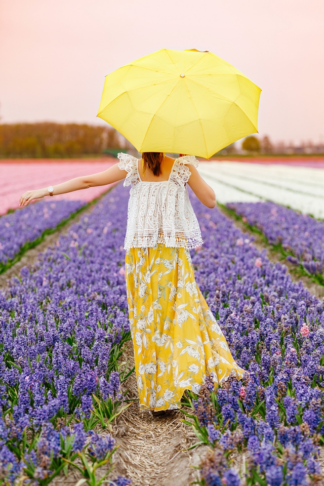 Fields of hyacinths – Larisa Costea