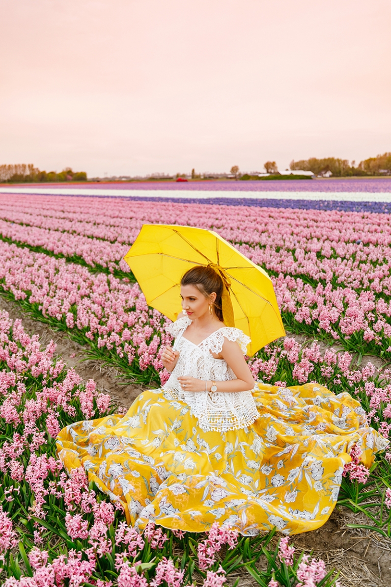 Fields of hyacinths – Larisa Costea